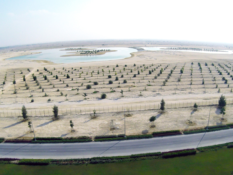 Ashghal to Plant over 95000 Trees around the Doha North STW